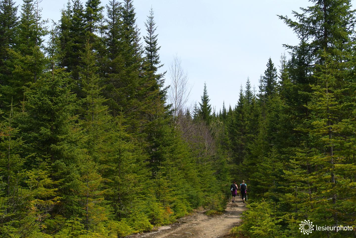 Parc national de la Jacques-Cartier | Plein air | LeSieur Photo