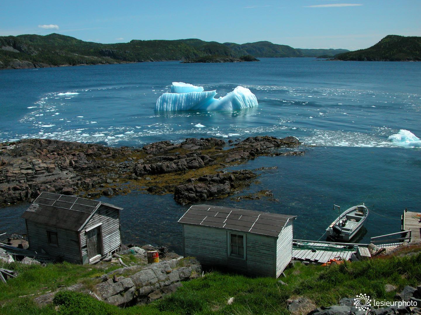 Terre-Neuve | Terre-Neuve et Labrador | LeSieur Photo