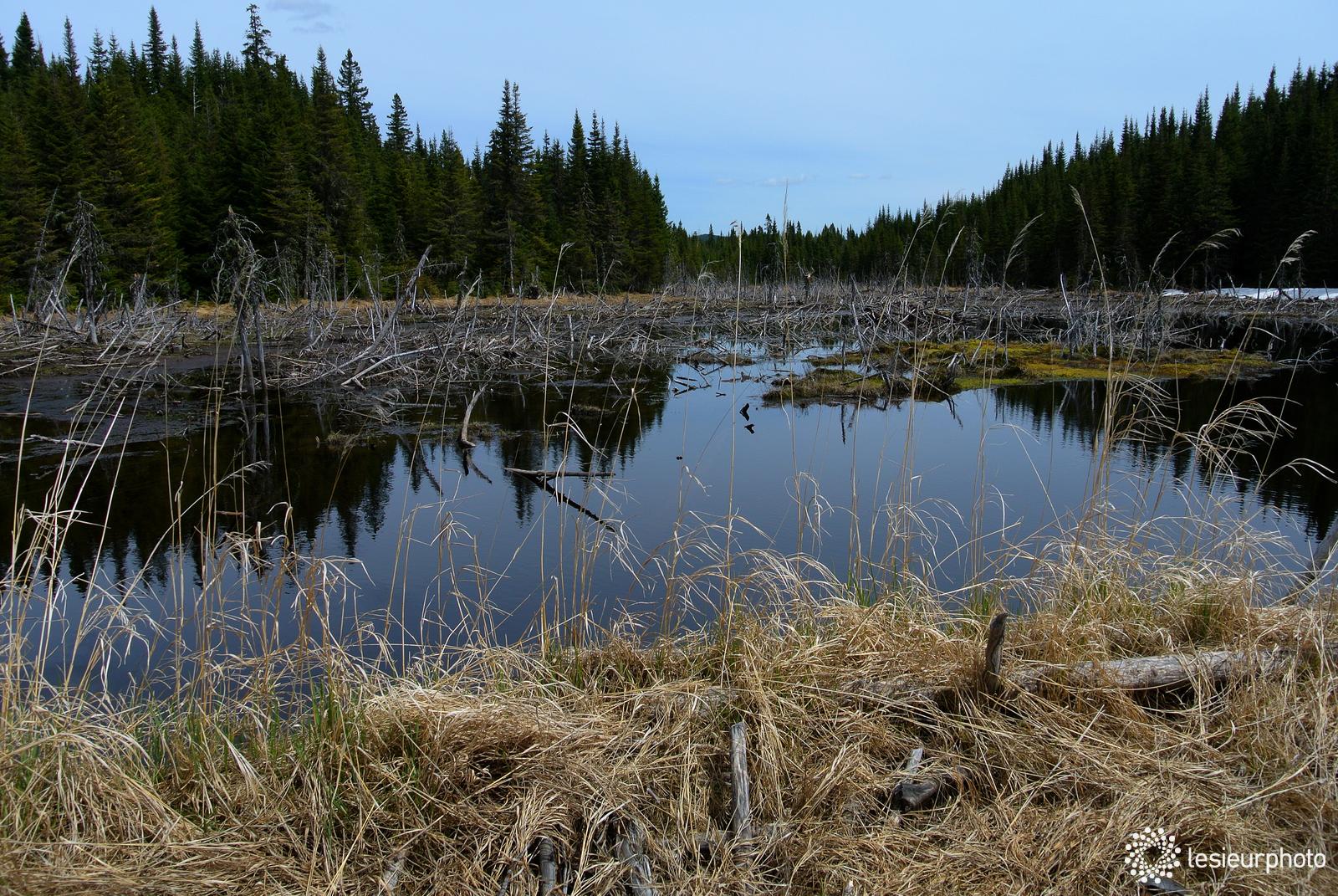 Parc national de la Jacques-Cartier | Plein air | LeSieur Photo